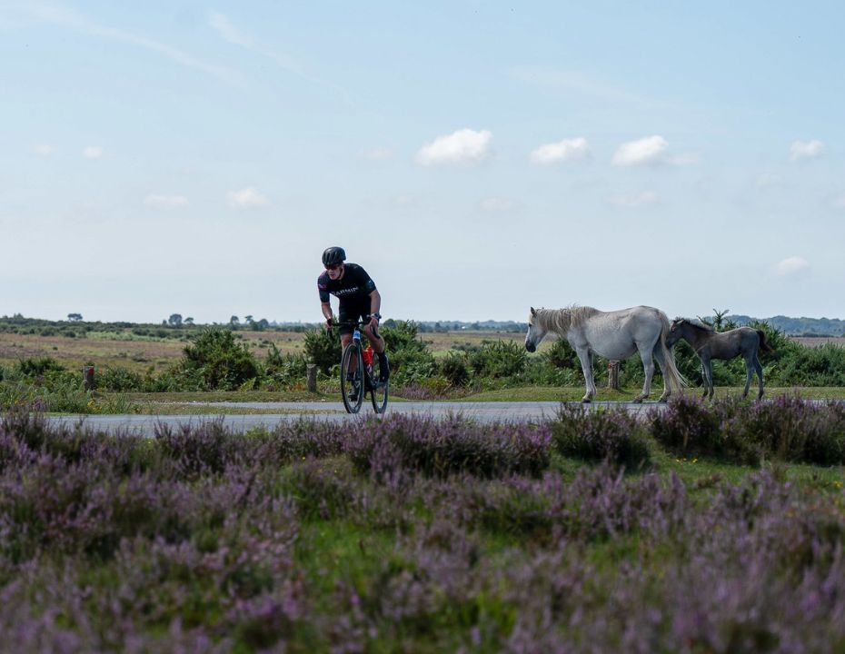 Garmin Ride Out | Action Medical Research